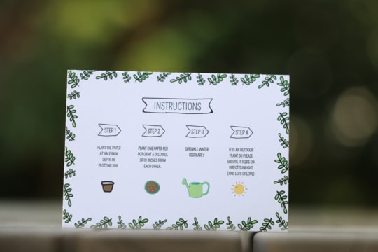 Little Green Box | Best Birthday, Friendship Day, Just like that, New ...